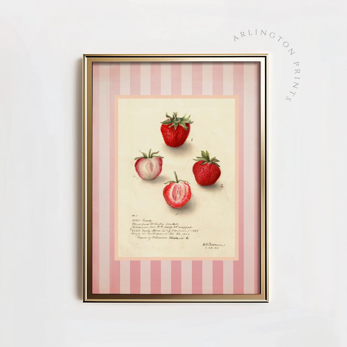 SEPT Vintage Strawberry Sketch, Neutral Botanical Drawing, Printable ...