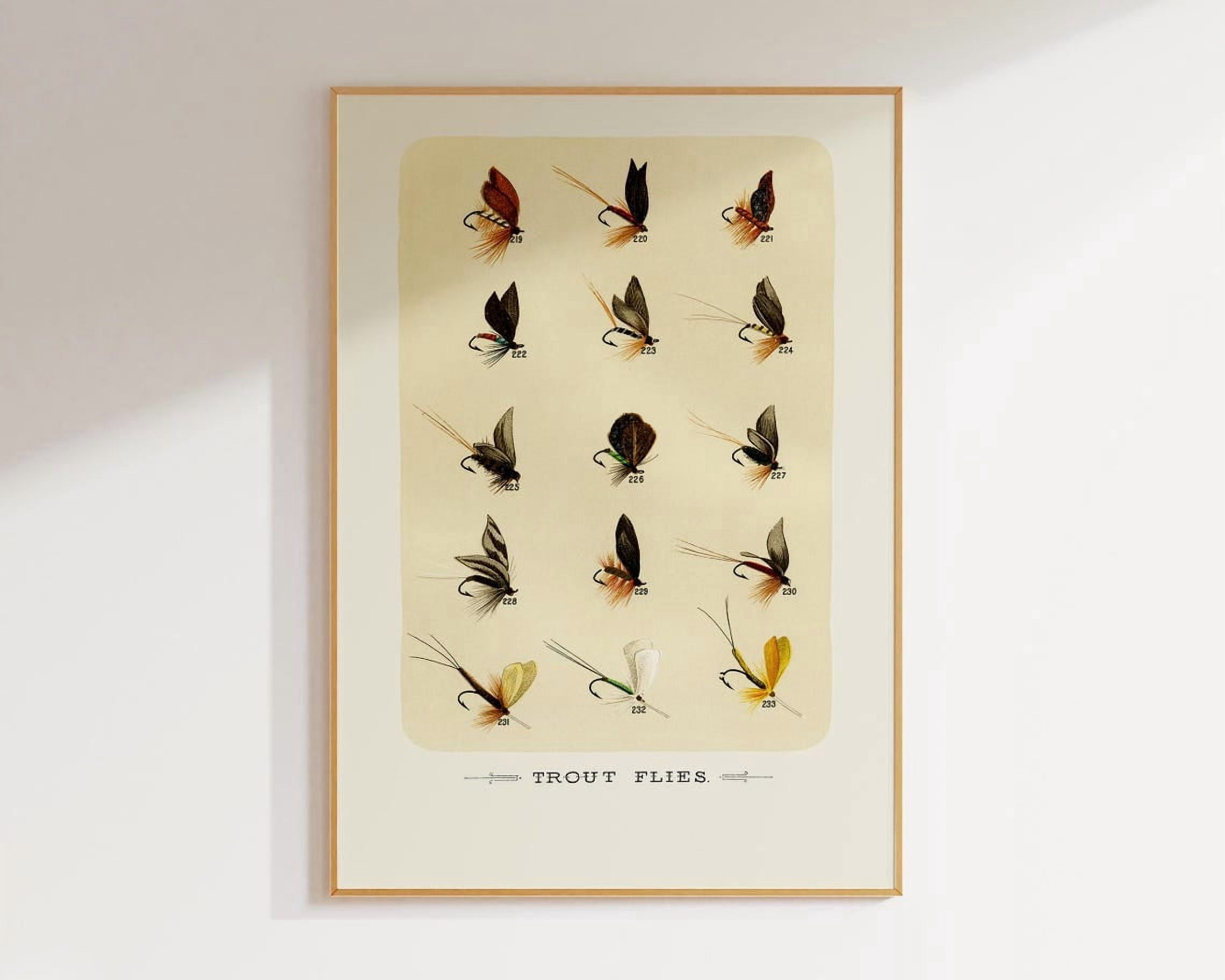 SEPT Vintage Trout Flies Art Print, Fisherman Lake Cottage Aesthetic ...
