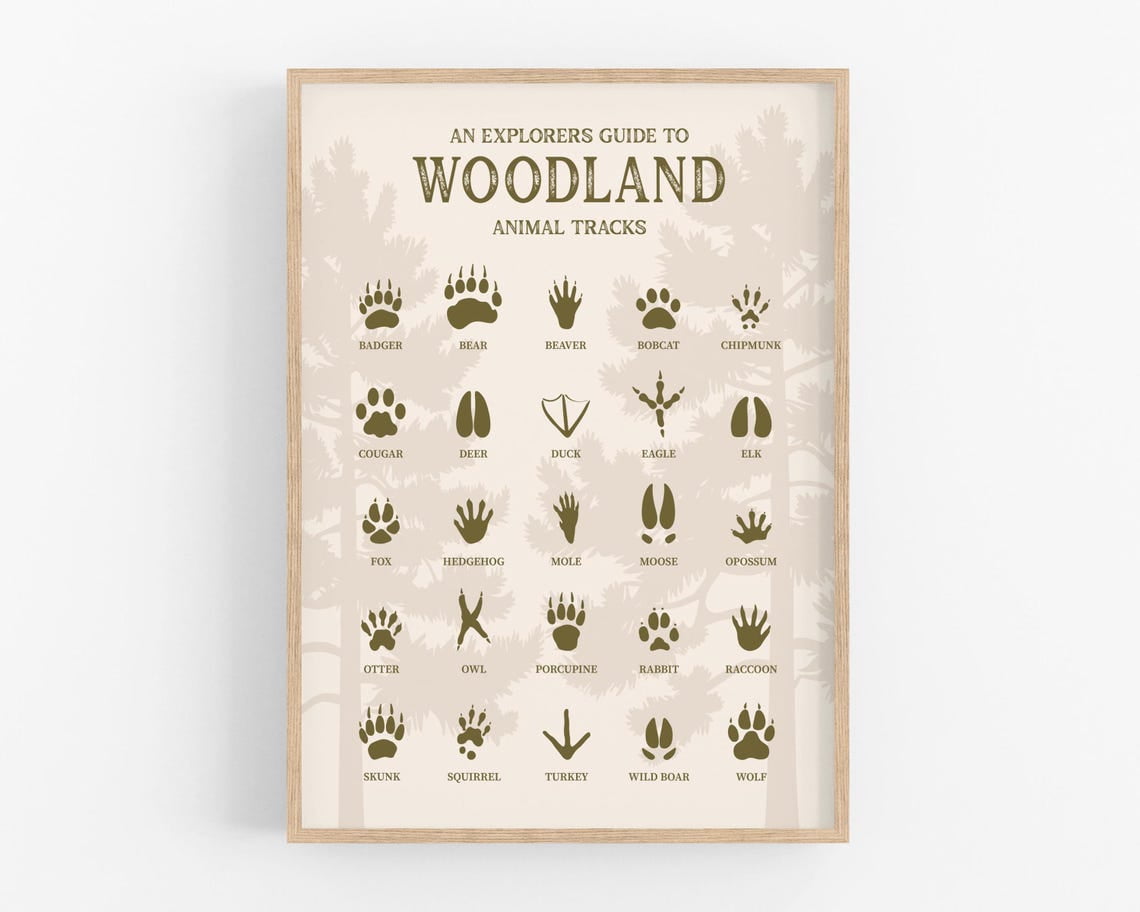 SEPT Woodland Animal Tracks Poster, Animal Tracks Kids, Animal ...