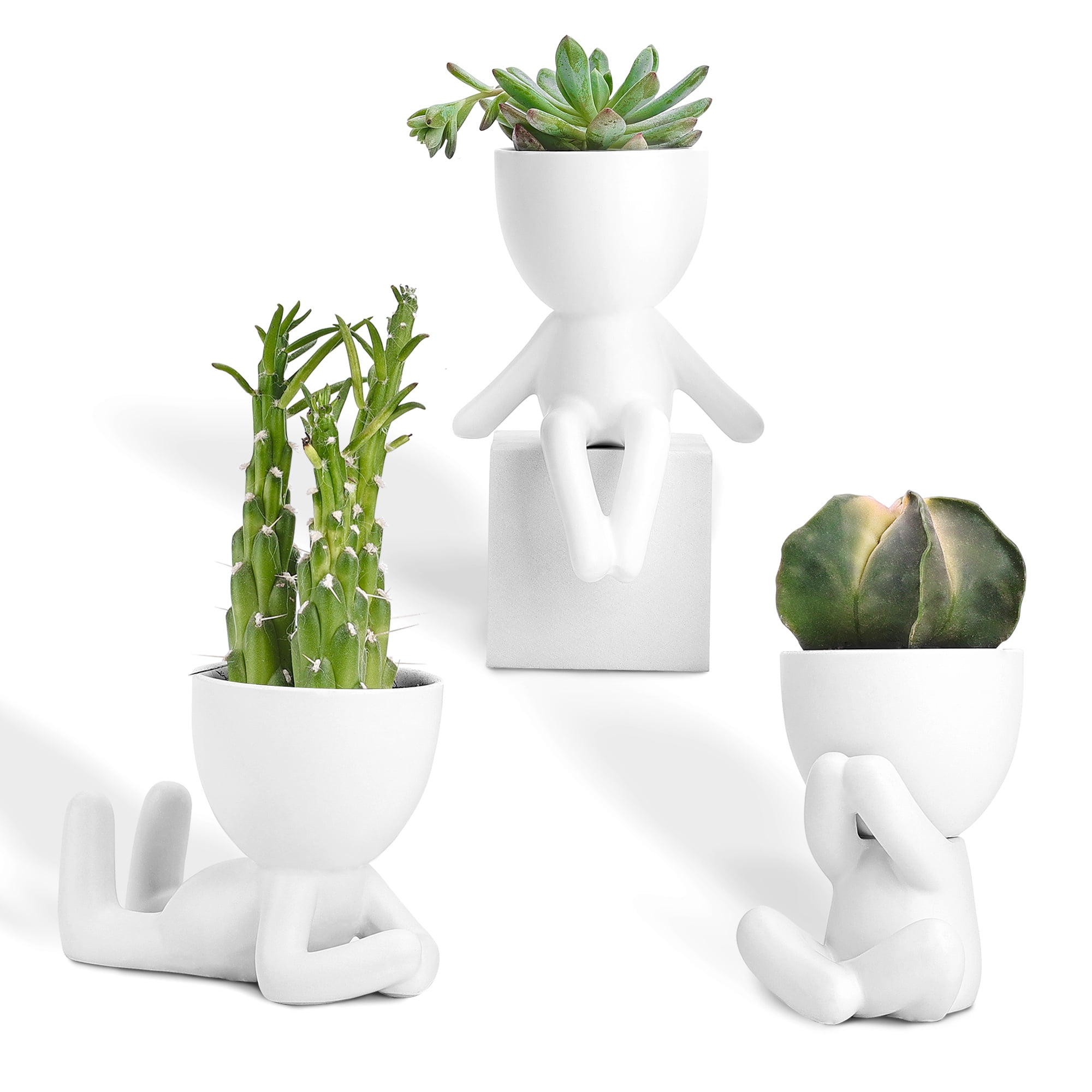 Port&Petal Set of 3 - Mini Decorative Pots - Ceramic Succulent Planters ...