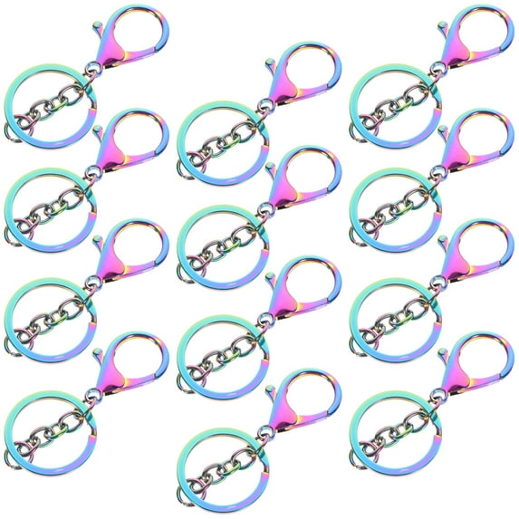SEWCHICS 12Pcs Key Chain Accessories Key Ring Clips For Daily Use In ...