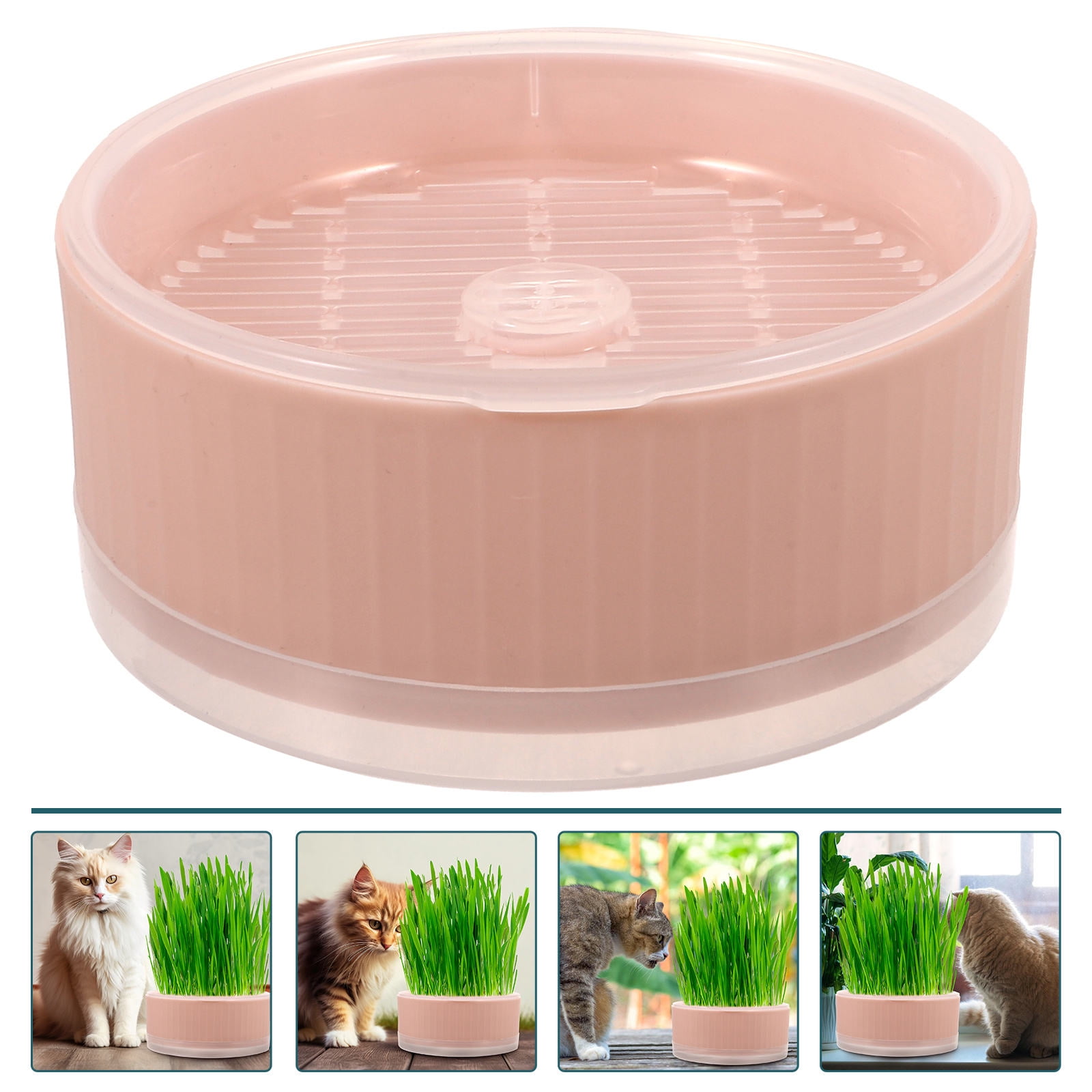 SEWCHICS 1Pcs Sleek Design Cat Grass Growing Pot For Cat Entertainment ...