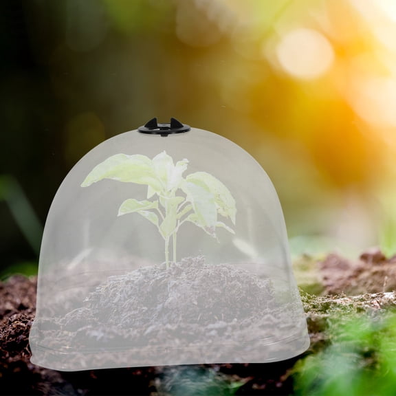 Garden Cloches and Plant Protectors for Outdoor and Indoor Gardening