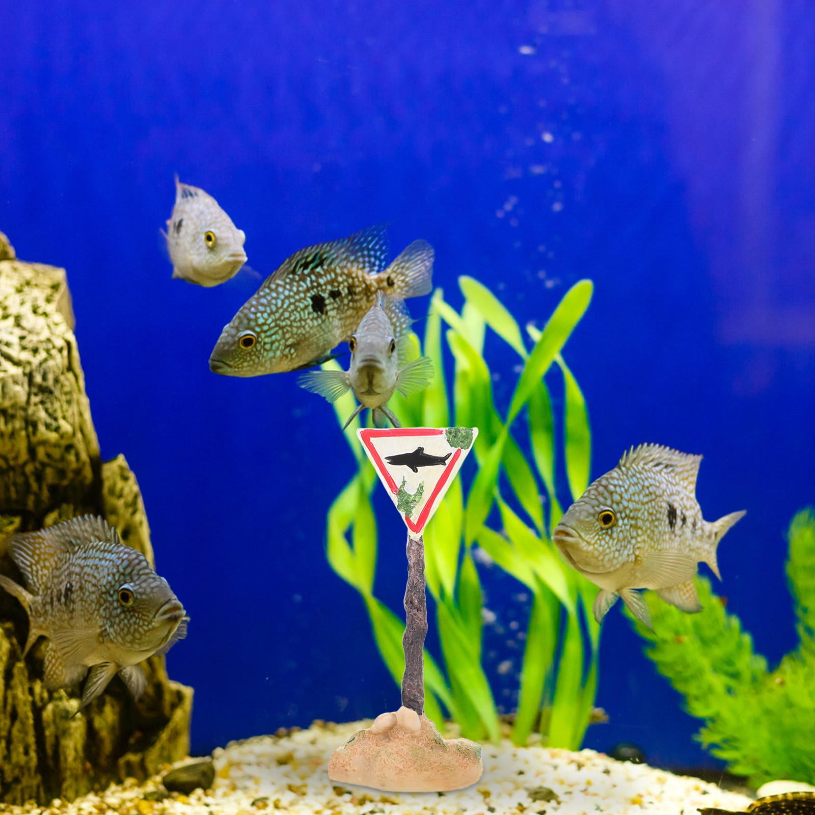 SEWCHICS Fish Tank Warning Sign Sticker Aquarium Decoration Multi 1Pcs ...