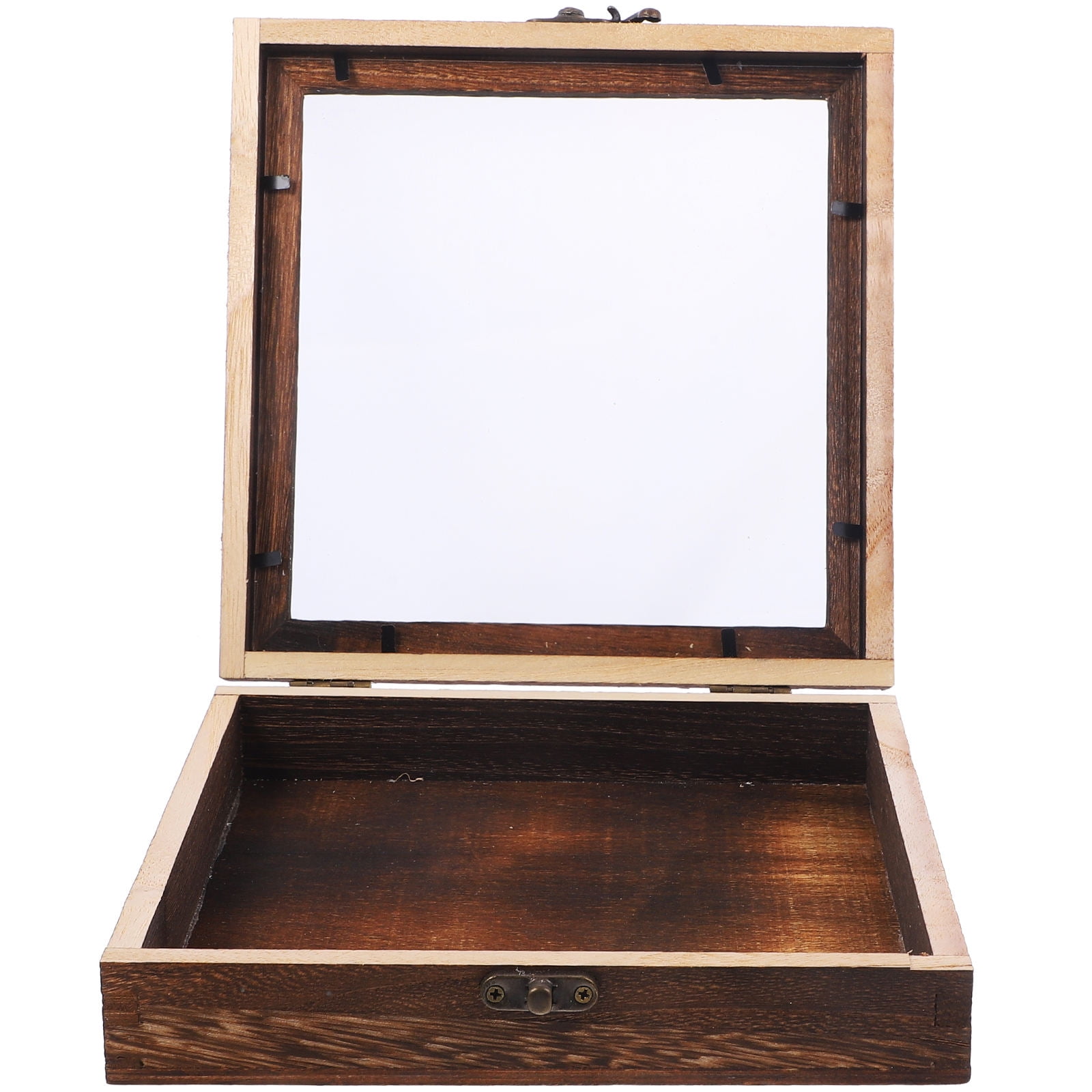 SEWCHICS Insect Specimen Display Case for Artists 1Pcs - Walmart.com