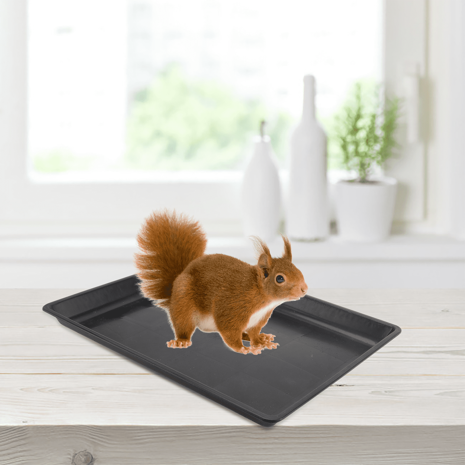 SEWOART 1pc Durable Leakproof Plastic Pet Cage Cleaning Tray for ...
