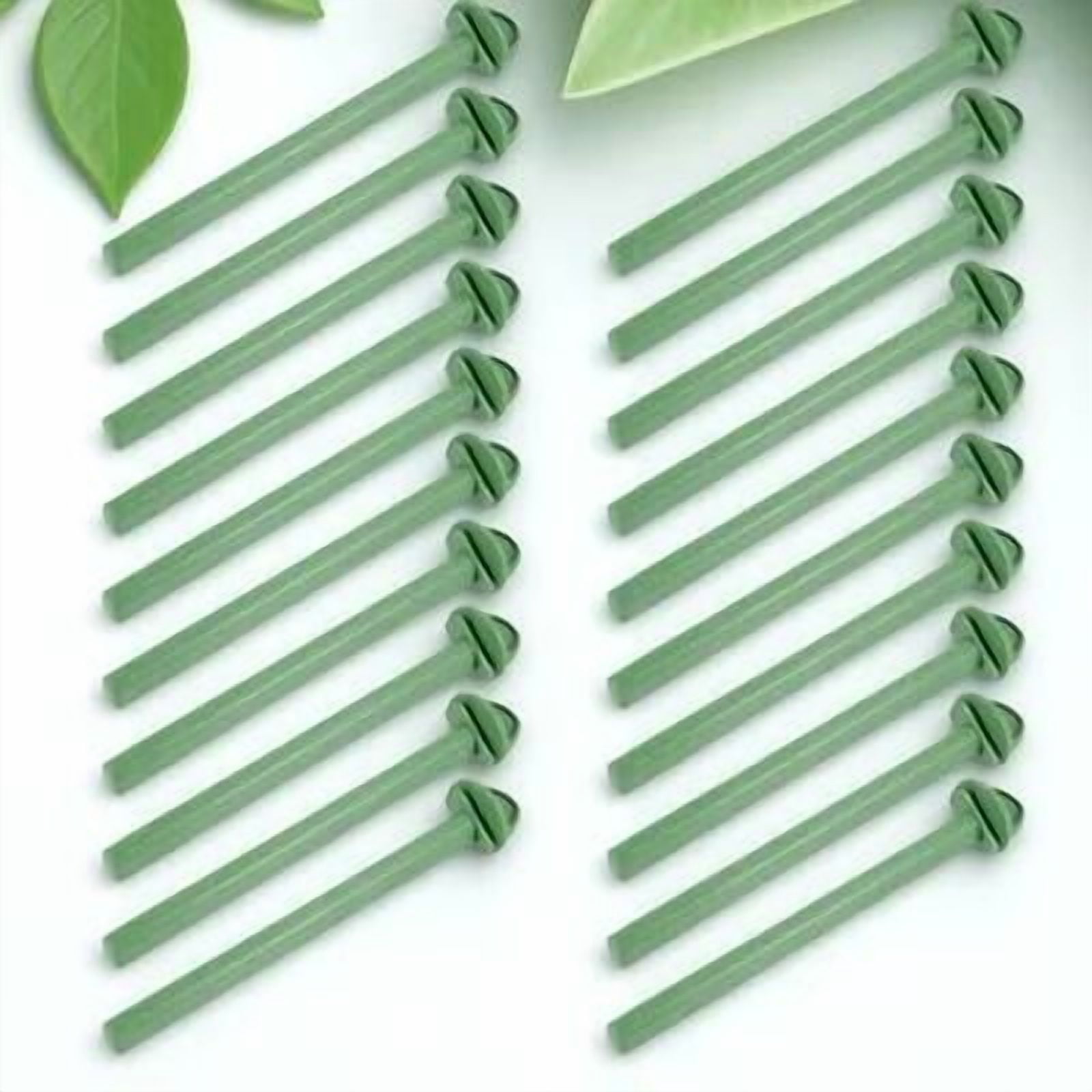 SEWOART Parrot Perch Stand Green Plastic for Pet Use Easy to Install ...