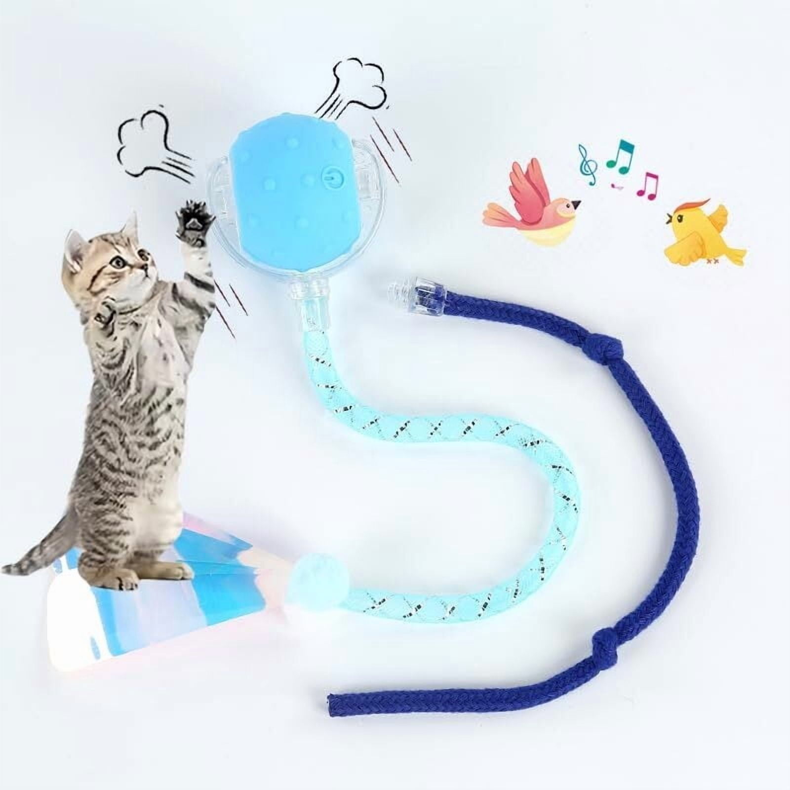 SF Cat Toys Ball for Indoor Cats,[2025 Newly Upgraded] Agile Moving Cat ...