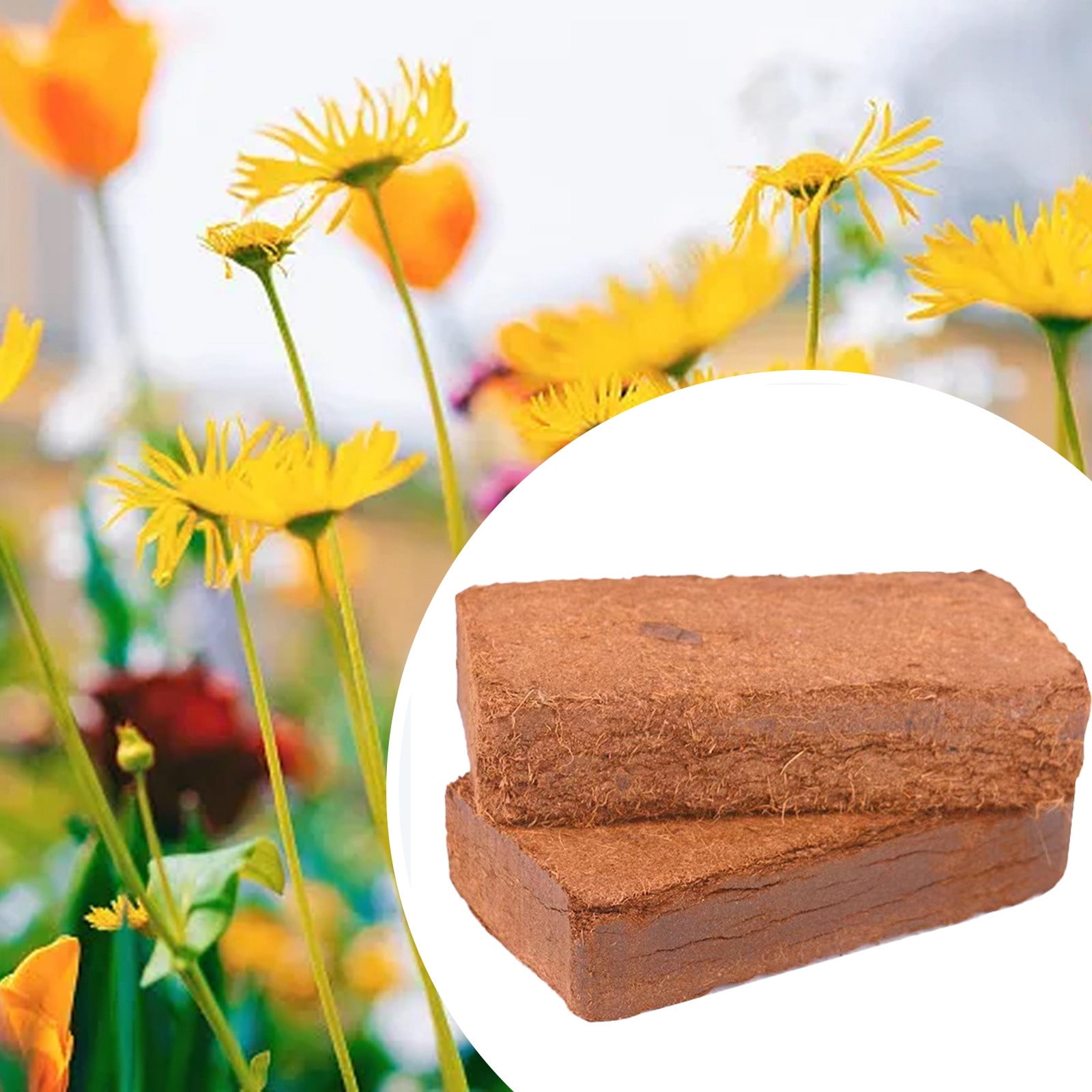SGJHEQ Coconut Brick Nutrient Soil Flower General Type Coconut Husk ...