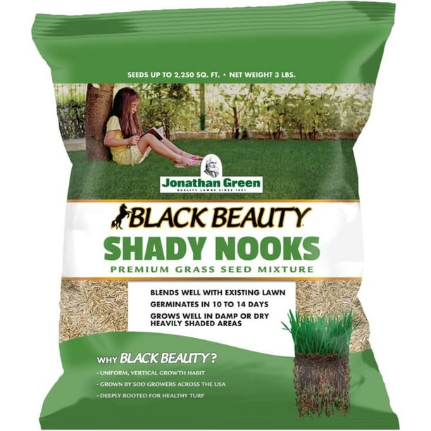 Black Beauty 3lb Shady Grass Seed 11957 - Walmart Business Supplies