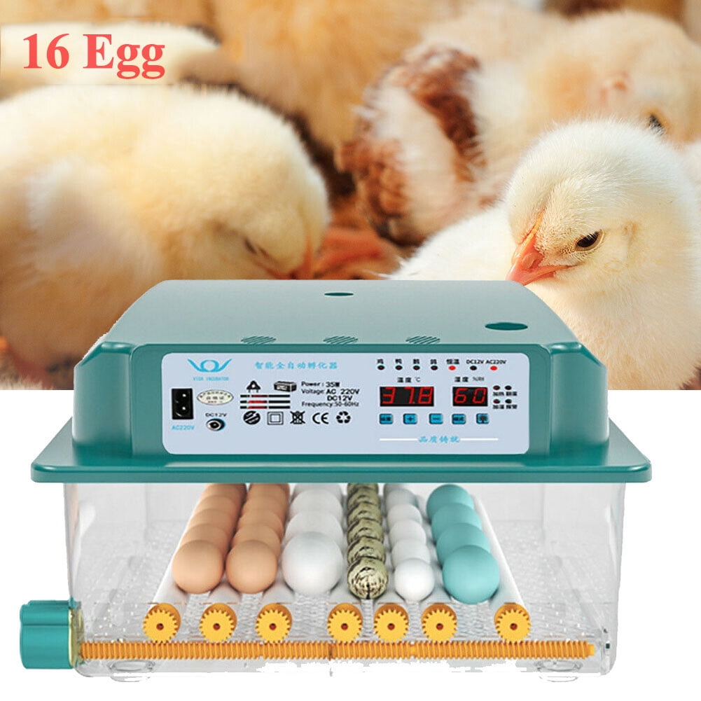 SHANNA 16 Eggs Incubator for Hatching Egg with Automatic Egg Turning & LED Candler, for Chicken ...