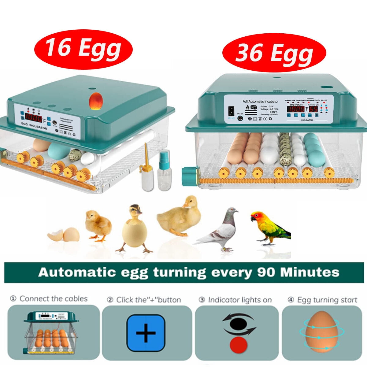 SHANNA 16 Eggs Incubators for Hatching Eggs Fahrenheit with Automatic Turner Chicken Incubators ...