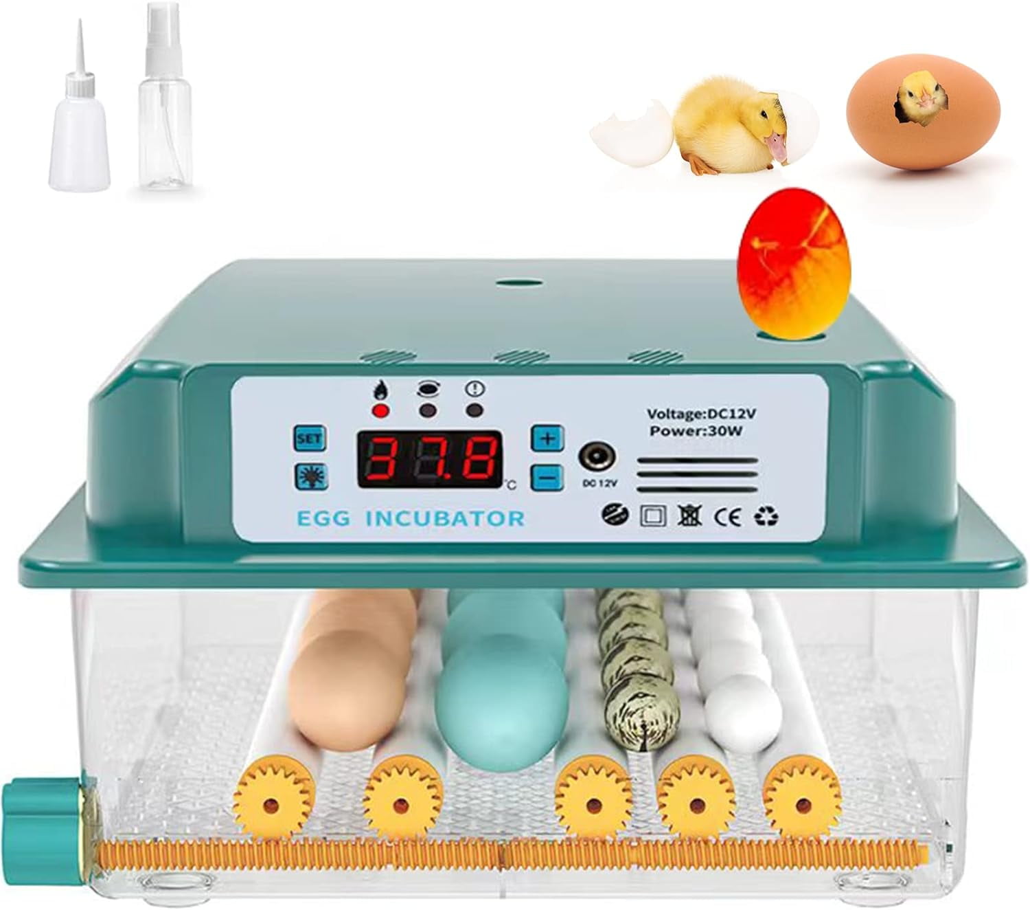 SHANNA 36 Eggs Incubator for Hatching Egg with Automatic Egg Turning ...