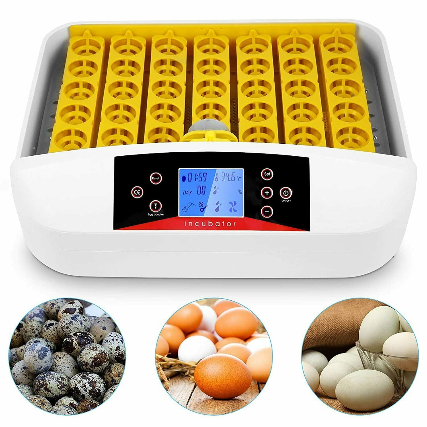SHANNA 41 Egg Incubator with Automatic Egg Turner, Poultry Hatcher for Chicken Ducks Goose Bird ...