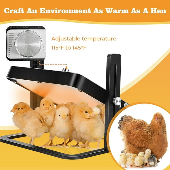 Chick Heat Lamps in Chicken Supplies - Walmart.com