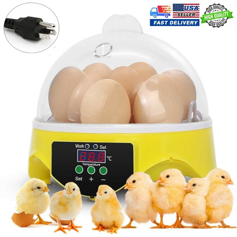 SHANNA Digital Egg Incubator Mini Automatic Chicken Duck Goose Birds ...