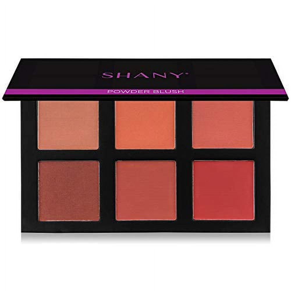 SHANY Shimmer & Matte Powder Blush Palette with Mirror - Layer 4 ...