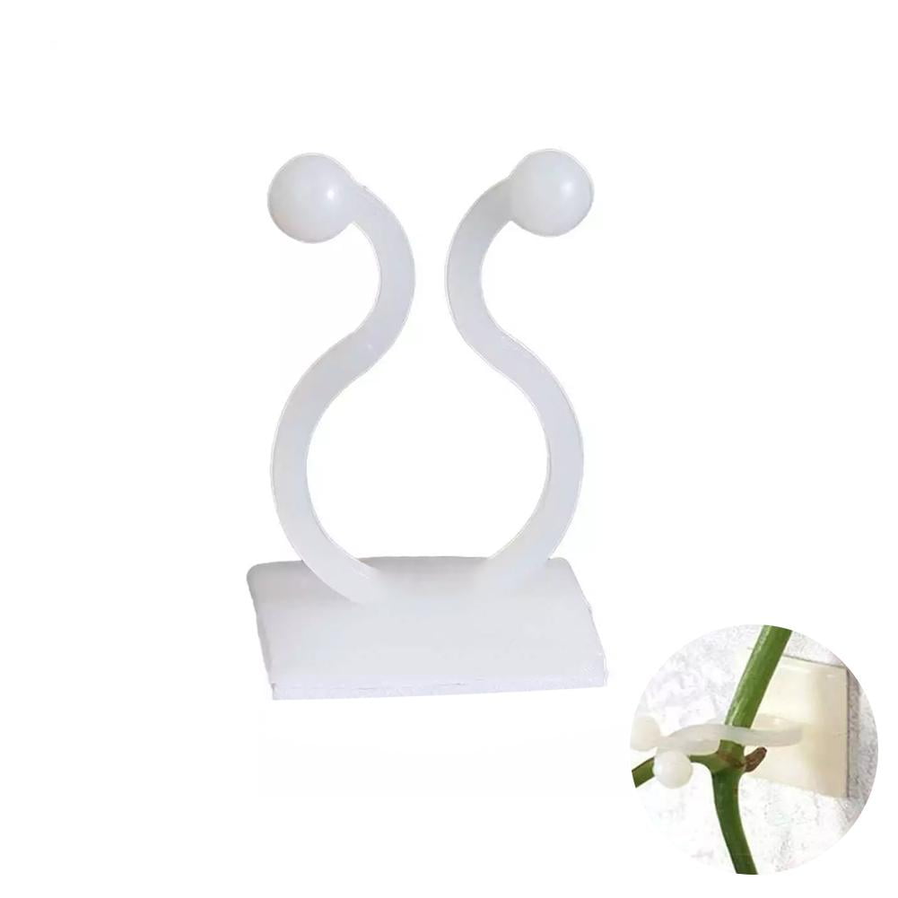 SHAPERME 100Pcs Invisible Plant Climbing Wall Stiy Hook Vines Fixture ...