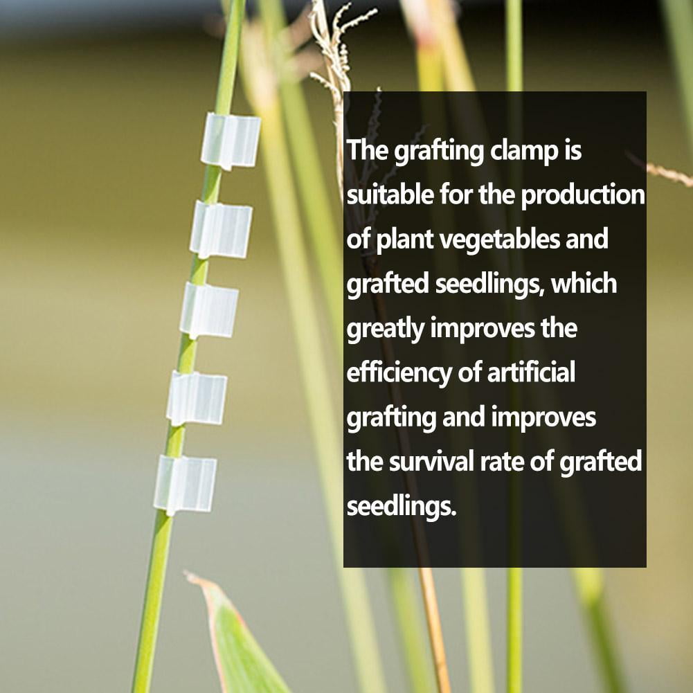 SHAPERME 10pcs Special Grafting Clips Tomato Seedling Grafting Clip ...