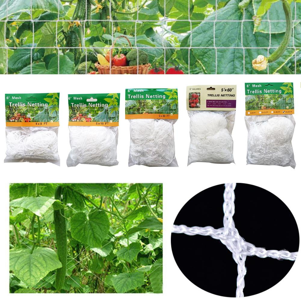 SHAPERME 8-60FT Garden Plant Climbing Net Vegetable Flower Vine Trellis ...