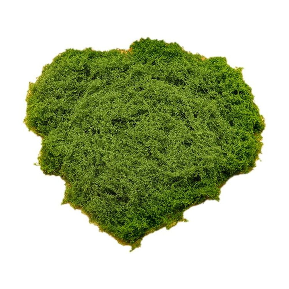 SHAPERME Artificial Plant Moss DIY Fake Plastic er Garden Micro Landse ...