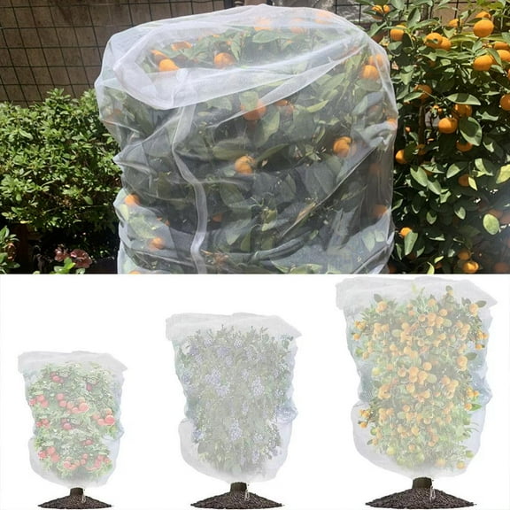 Grow It Now Large Plant Protector - Organic Gardening Starter for ...