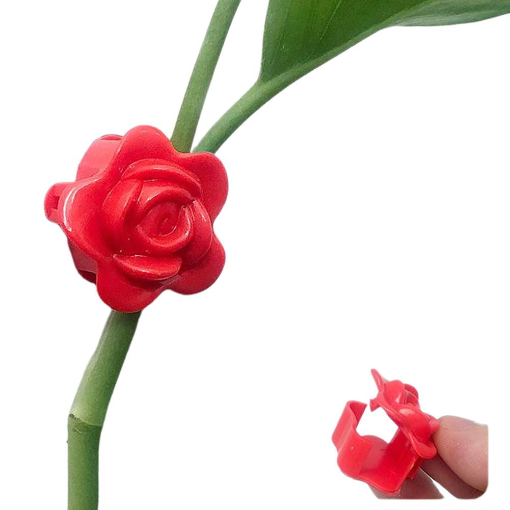 SHAPERME LQQDREX Plant Climbing Wall Fixture Clips Rose Shaped Plant ...