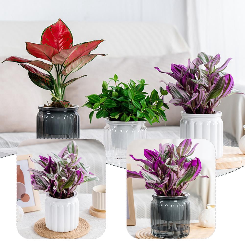 SHAPERME Self Watering Hydroponic Pot Plant Pots Self-absorbent Water ...