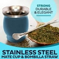 SHAPERME Steel Yerba Mate Cup Bombilla Straw Mate Tea Cup Yerba Gourd ...