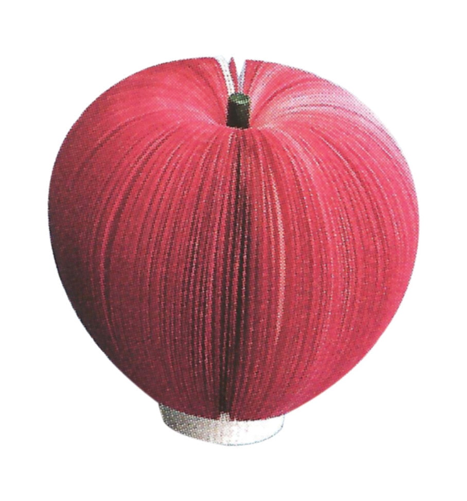 Apple Notepad
