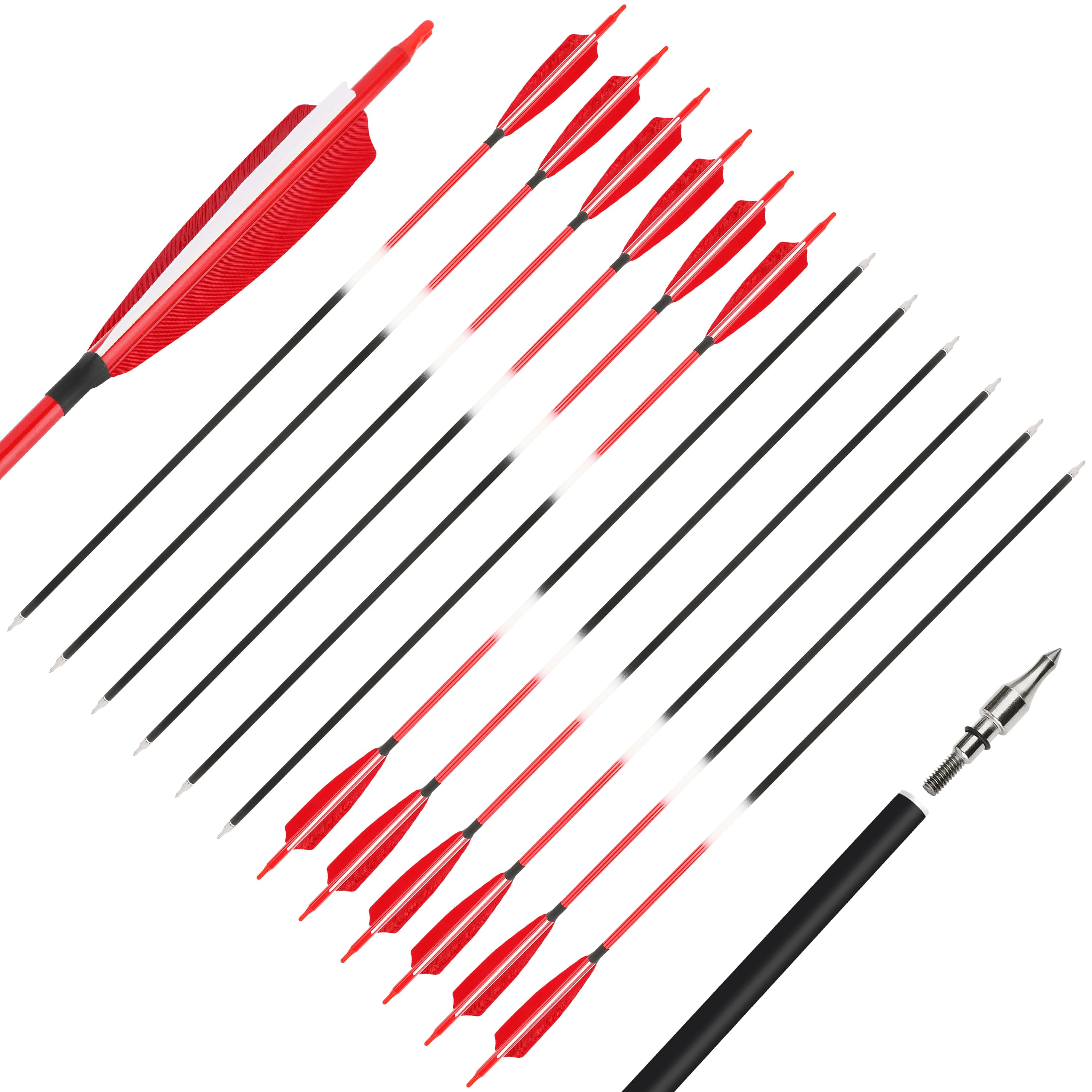 SHARROW Pack of 12 30" Archery Carbon Arrows with 5" Feathers Spine 500 ...
