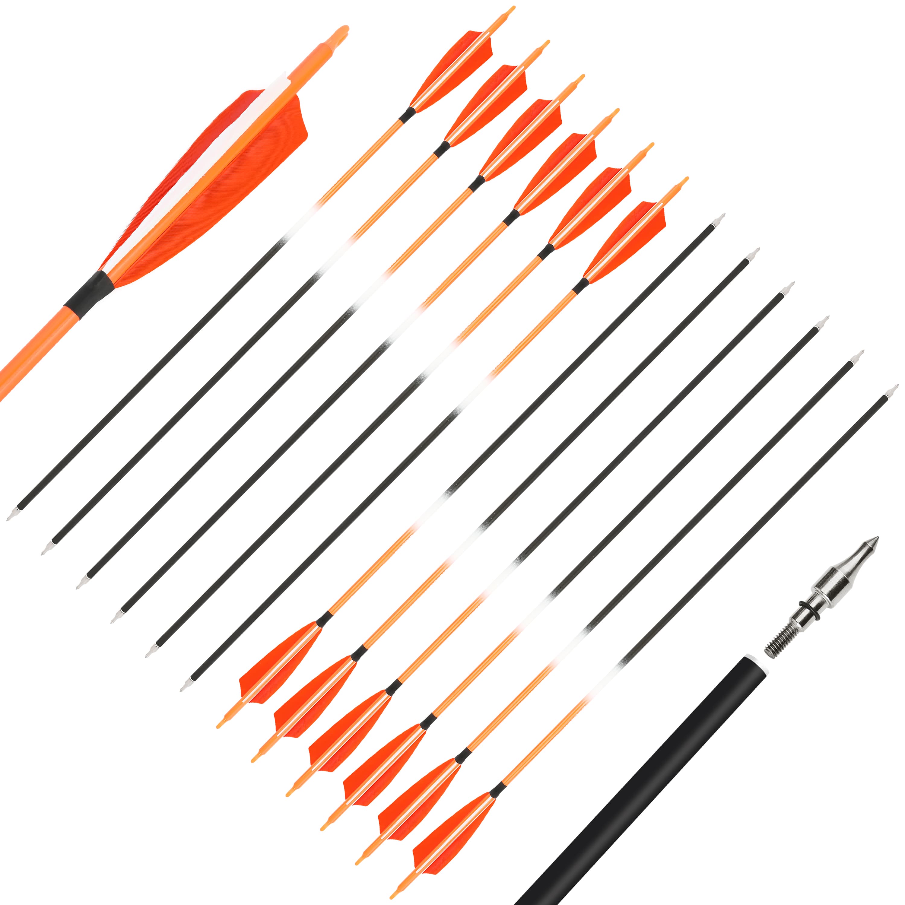 SHARROW Pack of 12 30" Archery Carbon Arrows with 5" Feathers Spine 500 ...