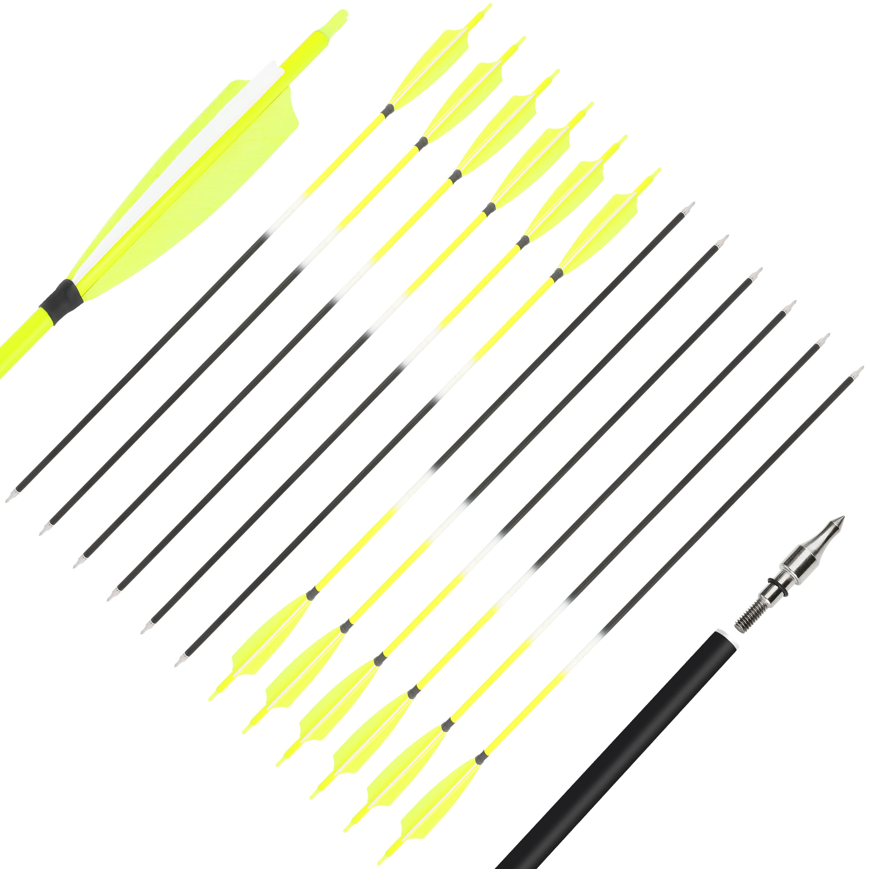 SHARROW Pack of 12 30" Archery Carbon Arrows with 5" Feathers Spine 500 ...
