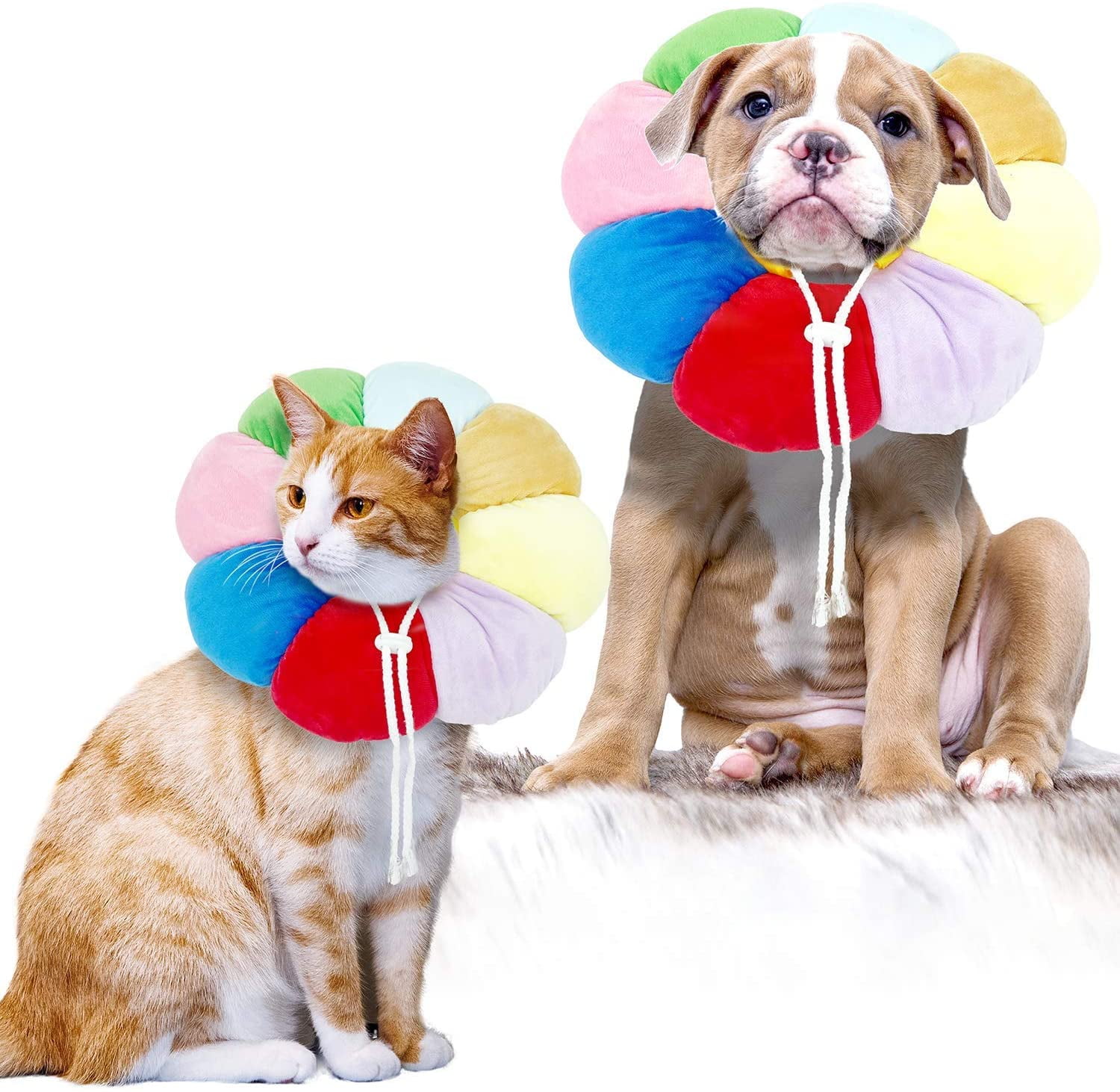 SHELLTON Pet Adjustable Recovery Collar - Recovery Protection Pet Taper ...