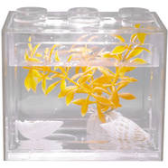 PONDON Fish Tank, 1.7 Gallon Glass Aquarium with Air Pump & LED Light ...