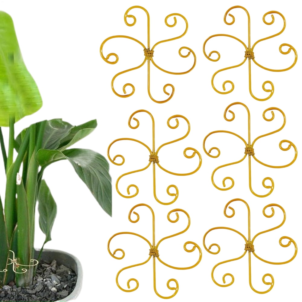 SHENERDA Stem Supports for Indoor Plants Climbing Houseplant Stem ...