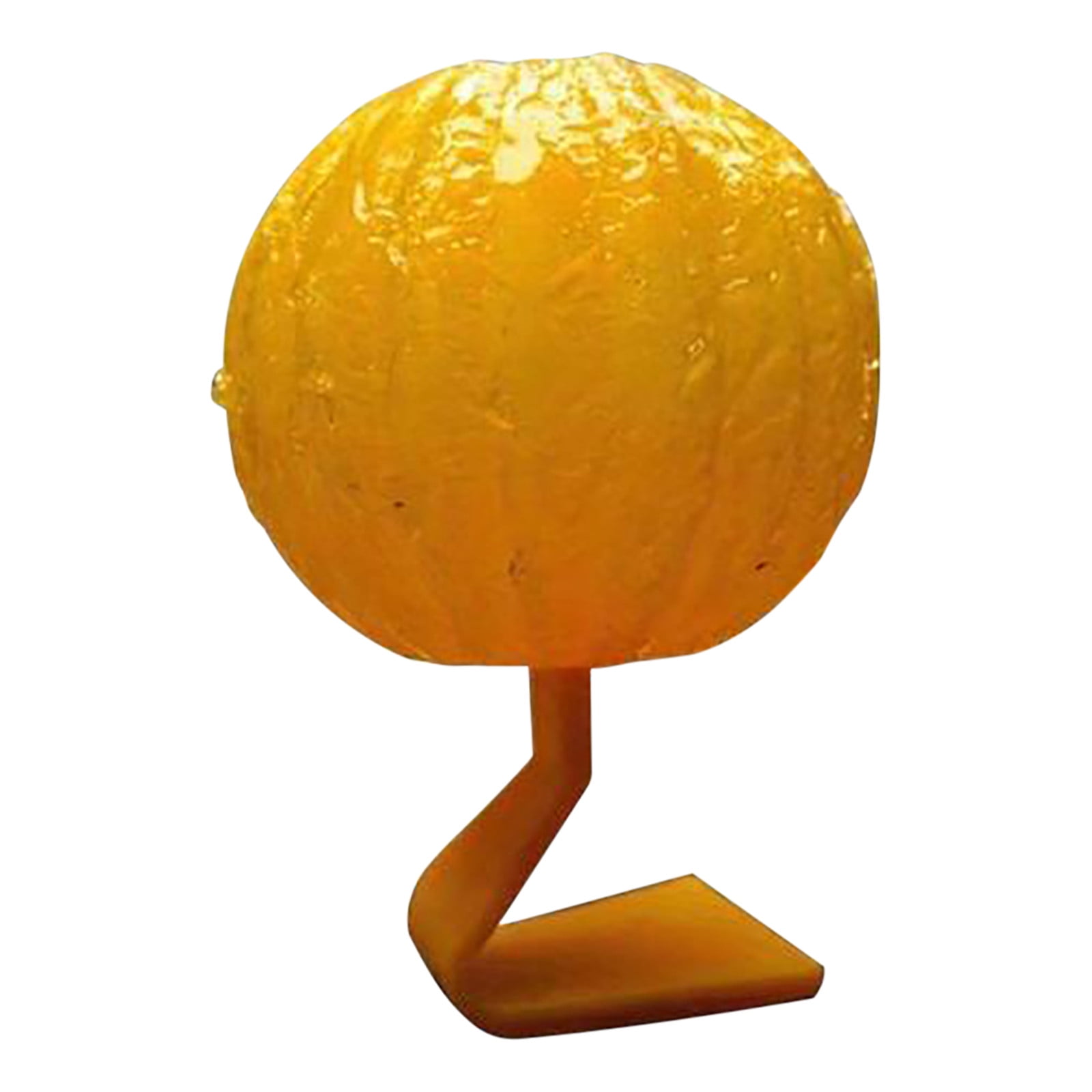 SHENGXINY Flying Clearance Fruit Flying Traps, Adhesive Trap, Hanging ...