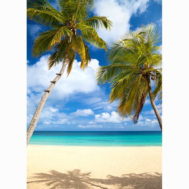 SHENGYONGBAO Sandy Beach Holiday Summer Photography Backdrop Prop ...