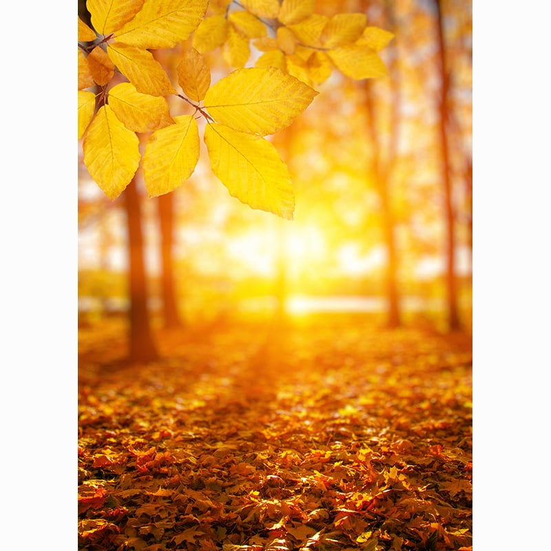 SHENGYONGBAO Sandy Beach Holiday Summer Photography Backdrop Prop ...