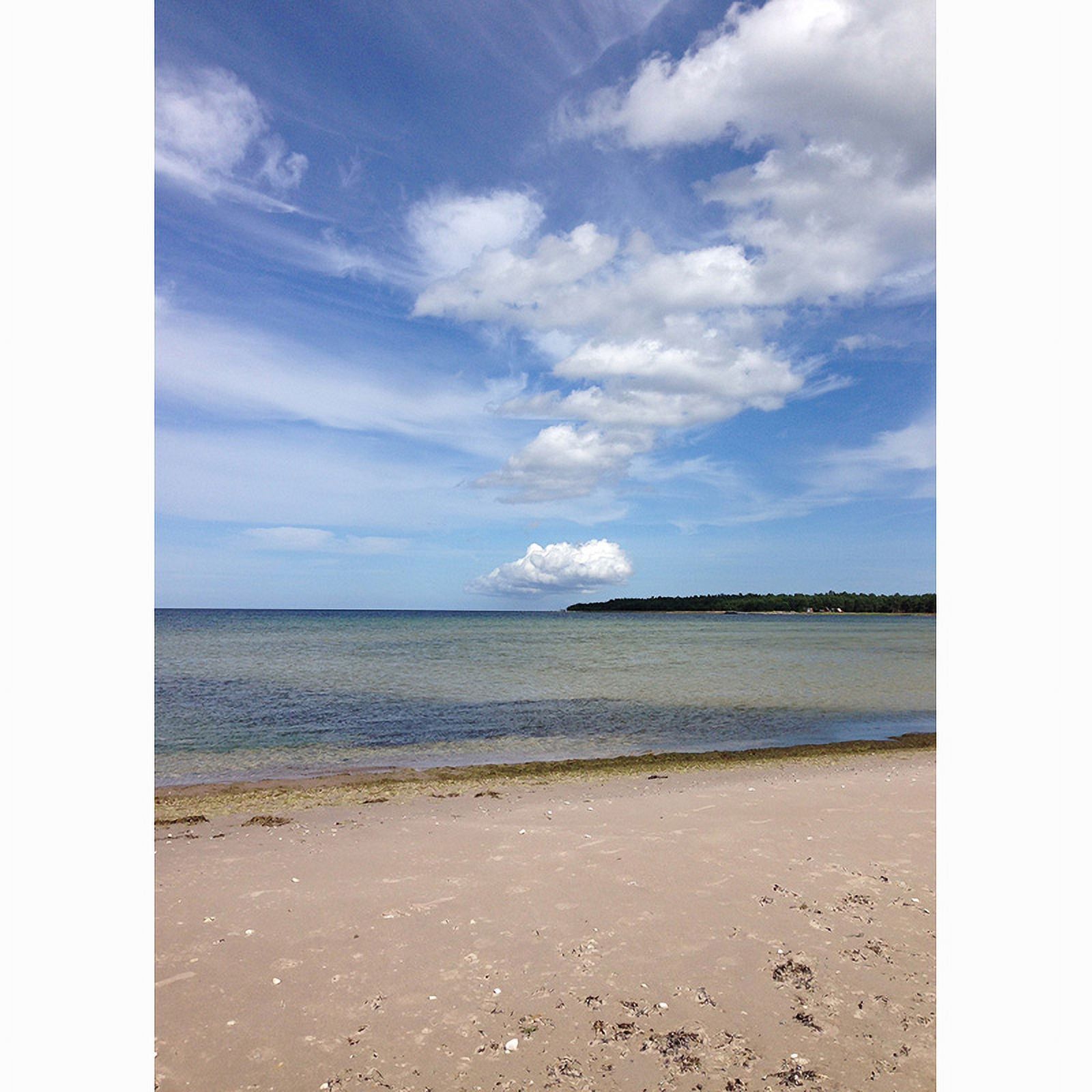 SHENGYONGBAO Sandy Beach Holiday Summer Photography Backdrop Prop ...