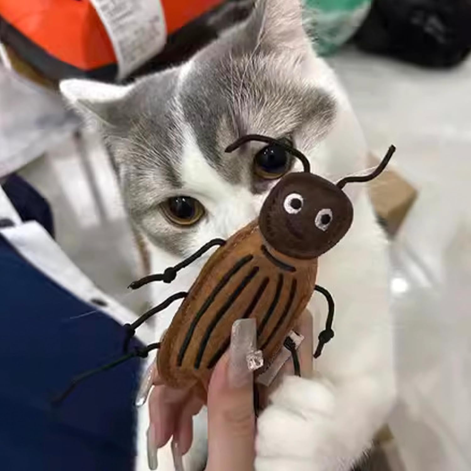 SHENZHYUSONGKJ Engaging and Irresistible Interactive Cat Toys for All ...