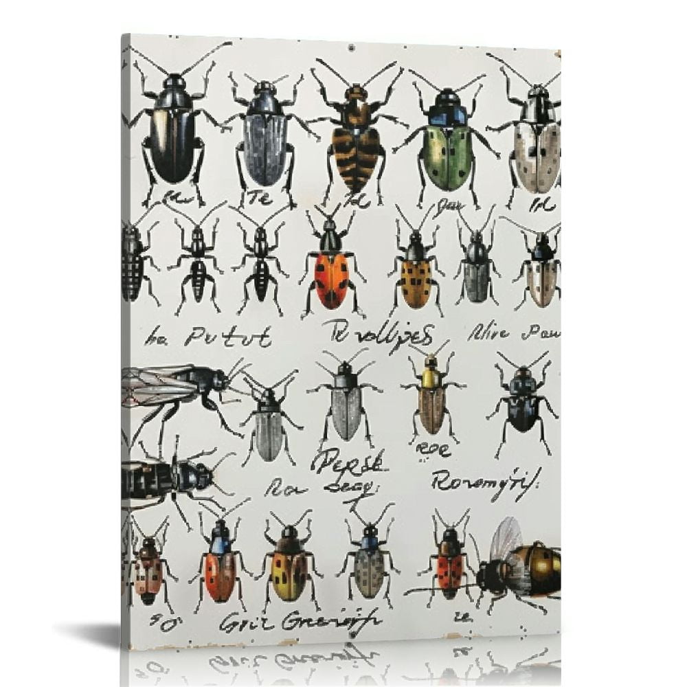 SHERONV Bug Chart Letters Fine Art Aesthetic Poster & Print Wall ...