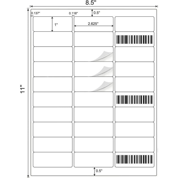 SHILIU-[200 Sheets 6000 Labels] Address Labels 1\u201d x 2-5/8\u201d Shipping Mailing Labels 30 ...