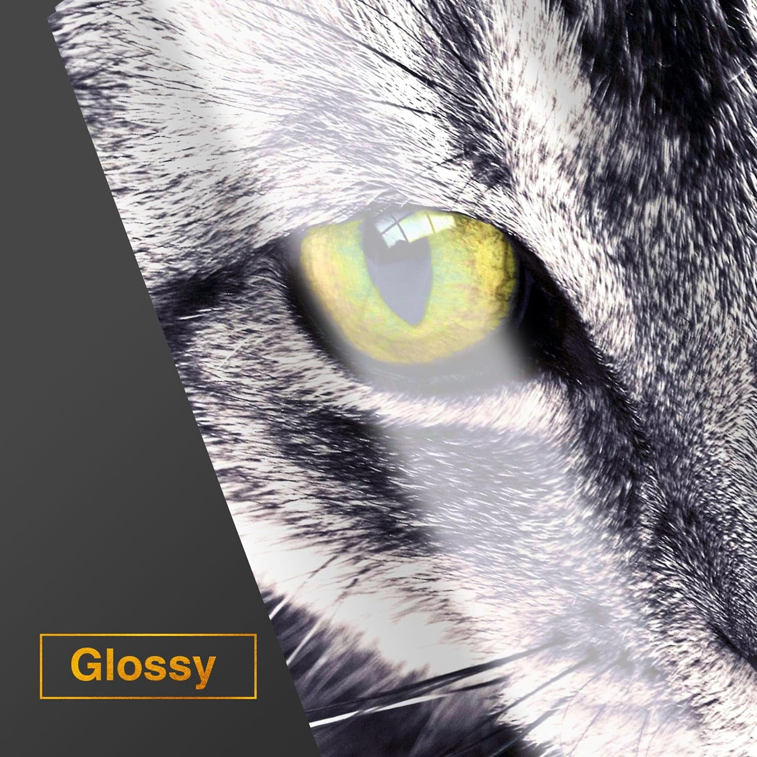 SHILIU-Premium Photo Paper High Glossy 8.5x11 Inch 66lb for Inkjet ...