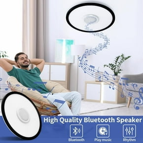 Bluetooth Ceiling Light