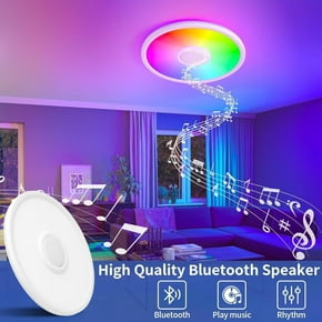 Bluetooth Ceiling Light