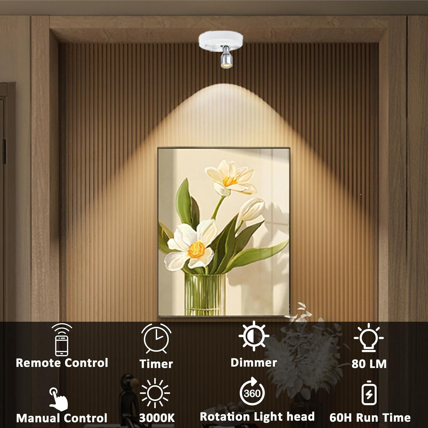 SHILIU-Wireless LED Spotlight, Battery Powered Picture Lights ...