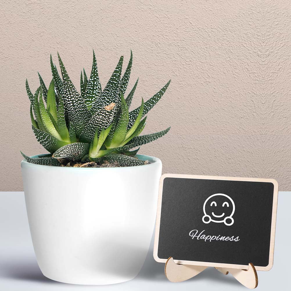 SHINYPASING 12Pcs Mini Chalkboards for Table Decorations and Signage in ...