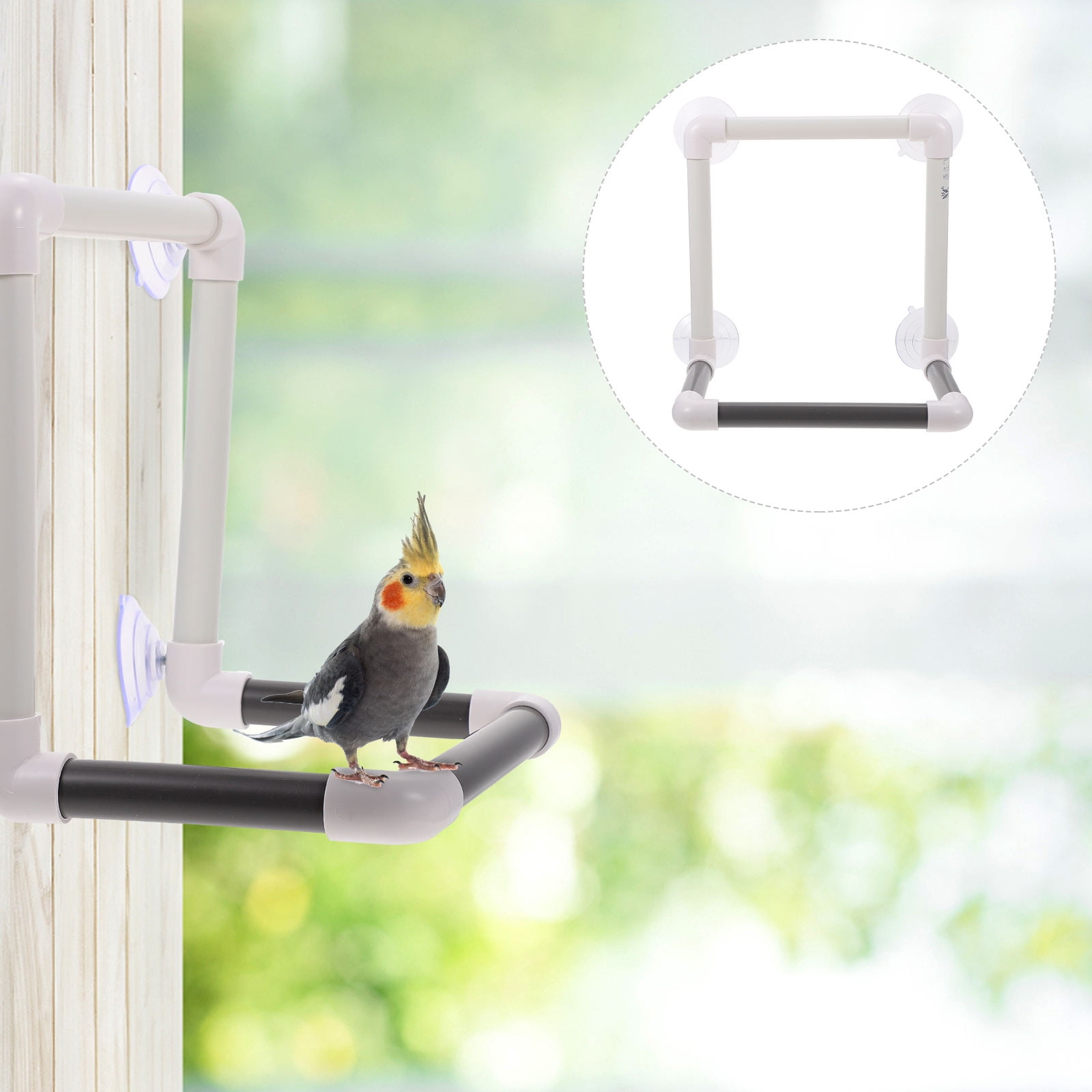 SHINYPASING 1Pack Parrot Perch Stand Assorted Color for Pet Birds ...