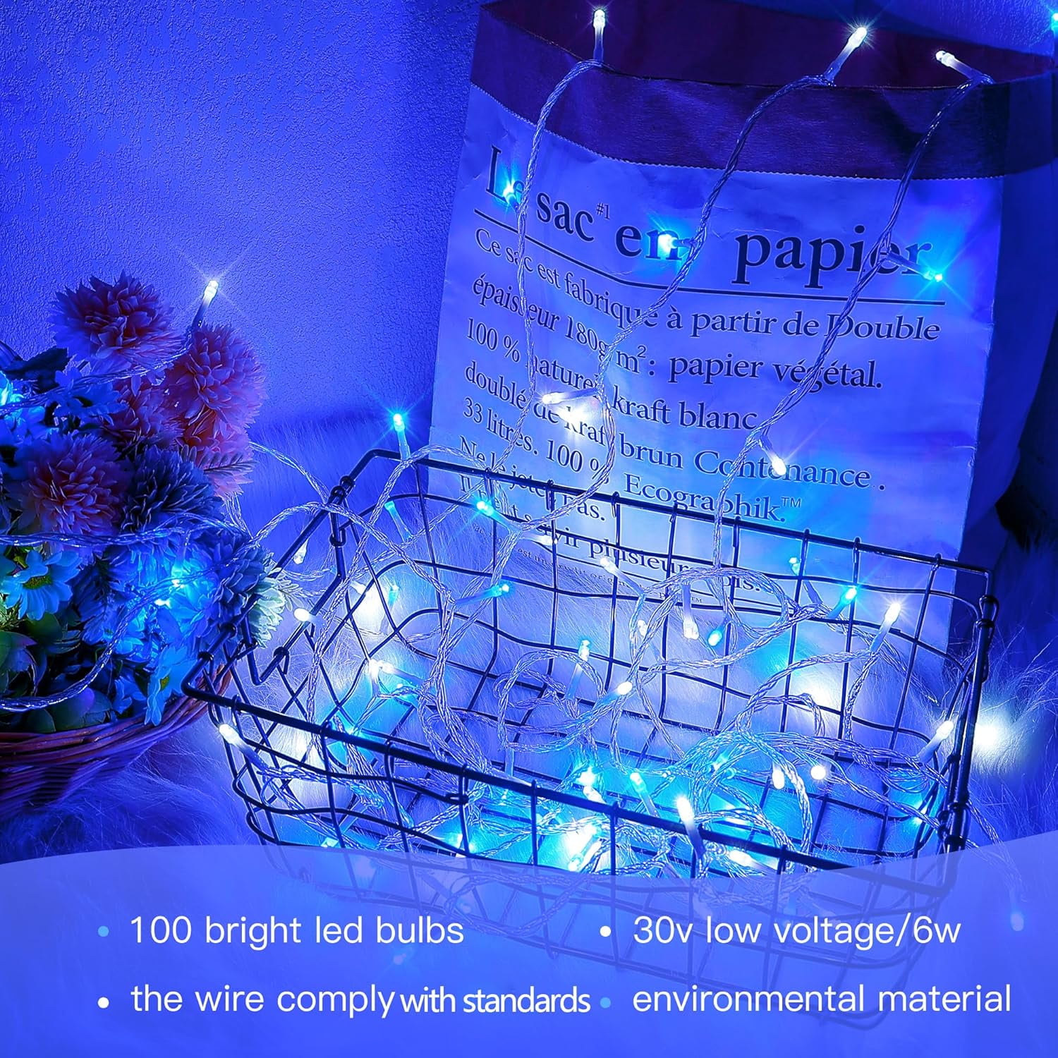 SHIQI-Blue and White Christmas Lights Outdoor,33FT 100 Led Plug in ...